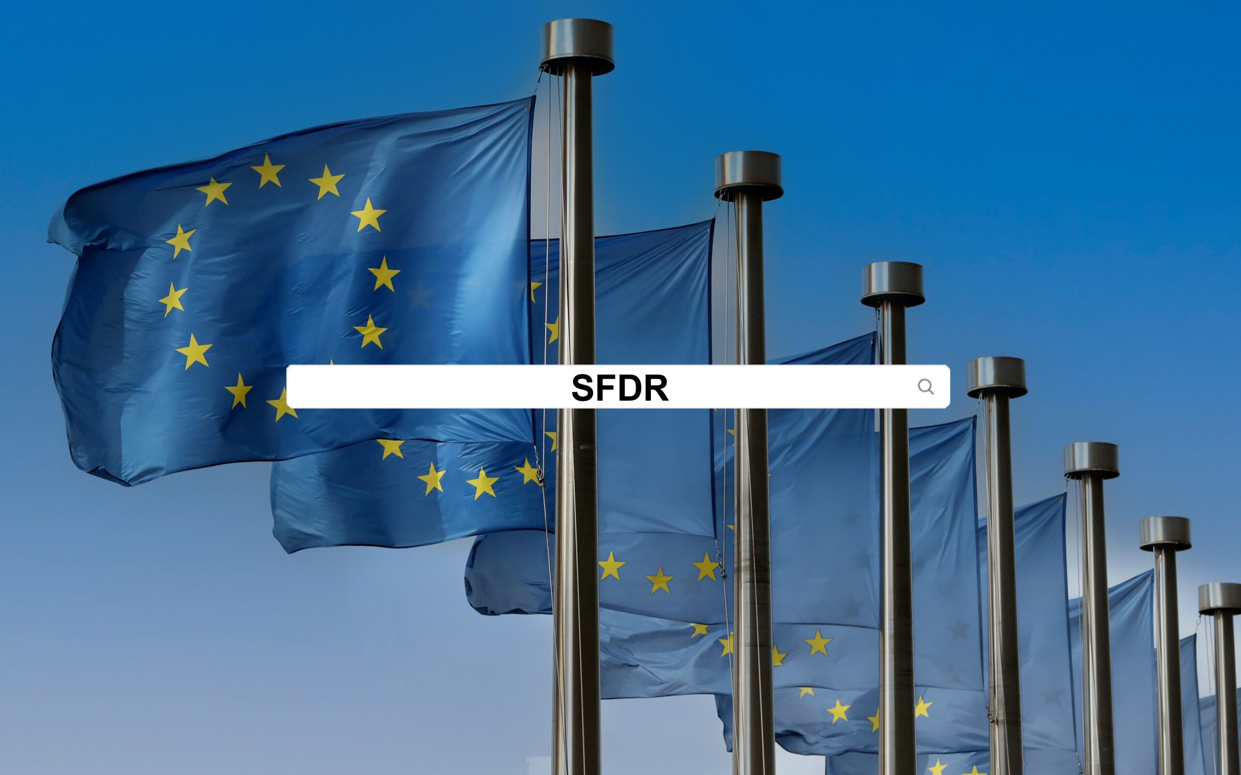 What is SFDR?: Understanding Sustainable Transactions